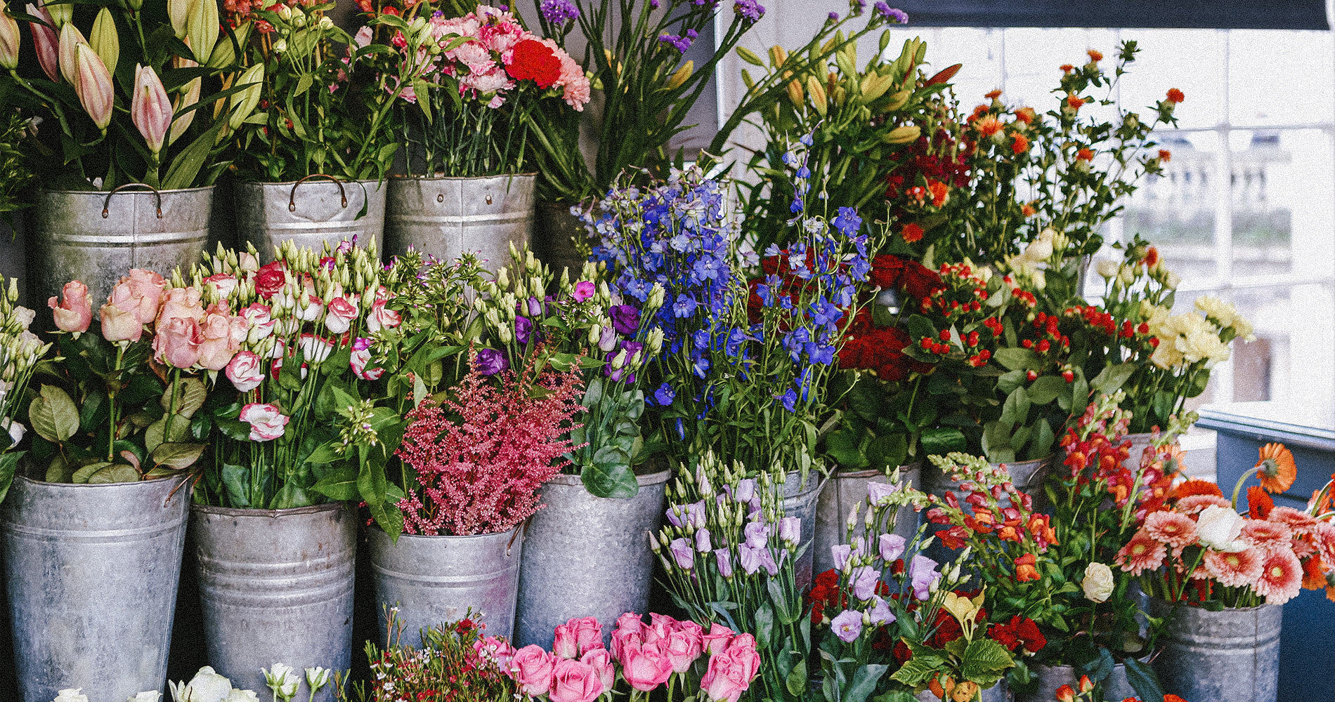 Farmshed Friday – Valley Flower Farm