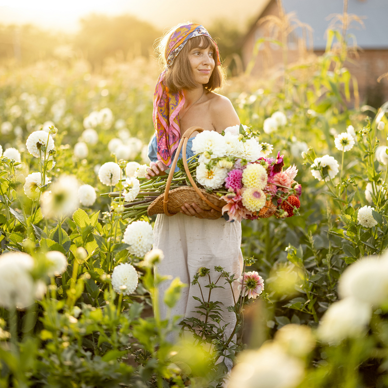 Photos At The Farm – Valley Flower Farm